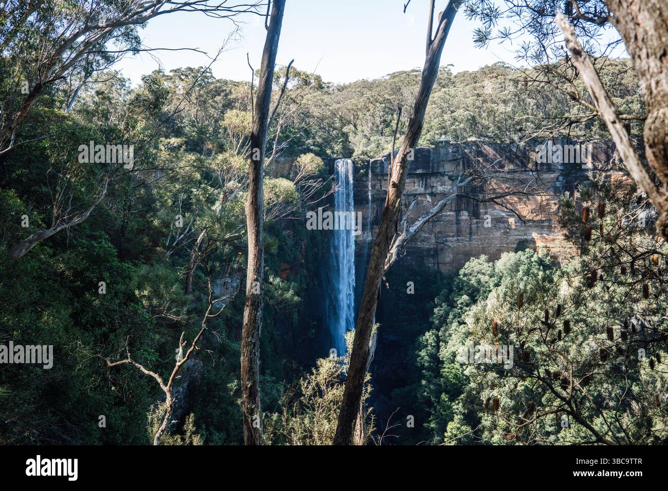 Tall waterfall through trees at Fitzroy Falls, Australia Stock Photo ...