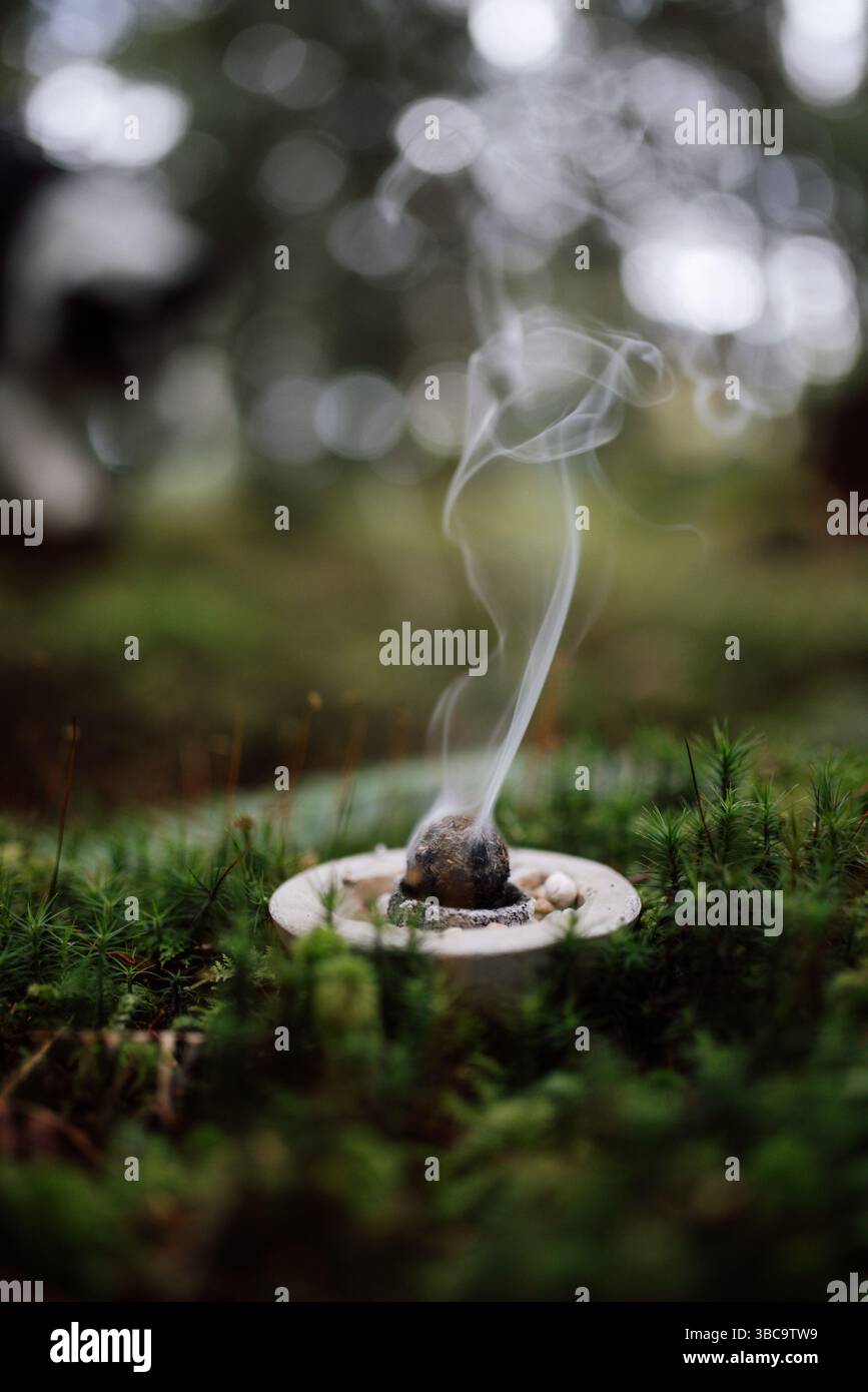 Smoking incense ball in a forest bowl surrounded by moss Stock Photo ...
