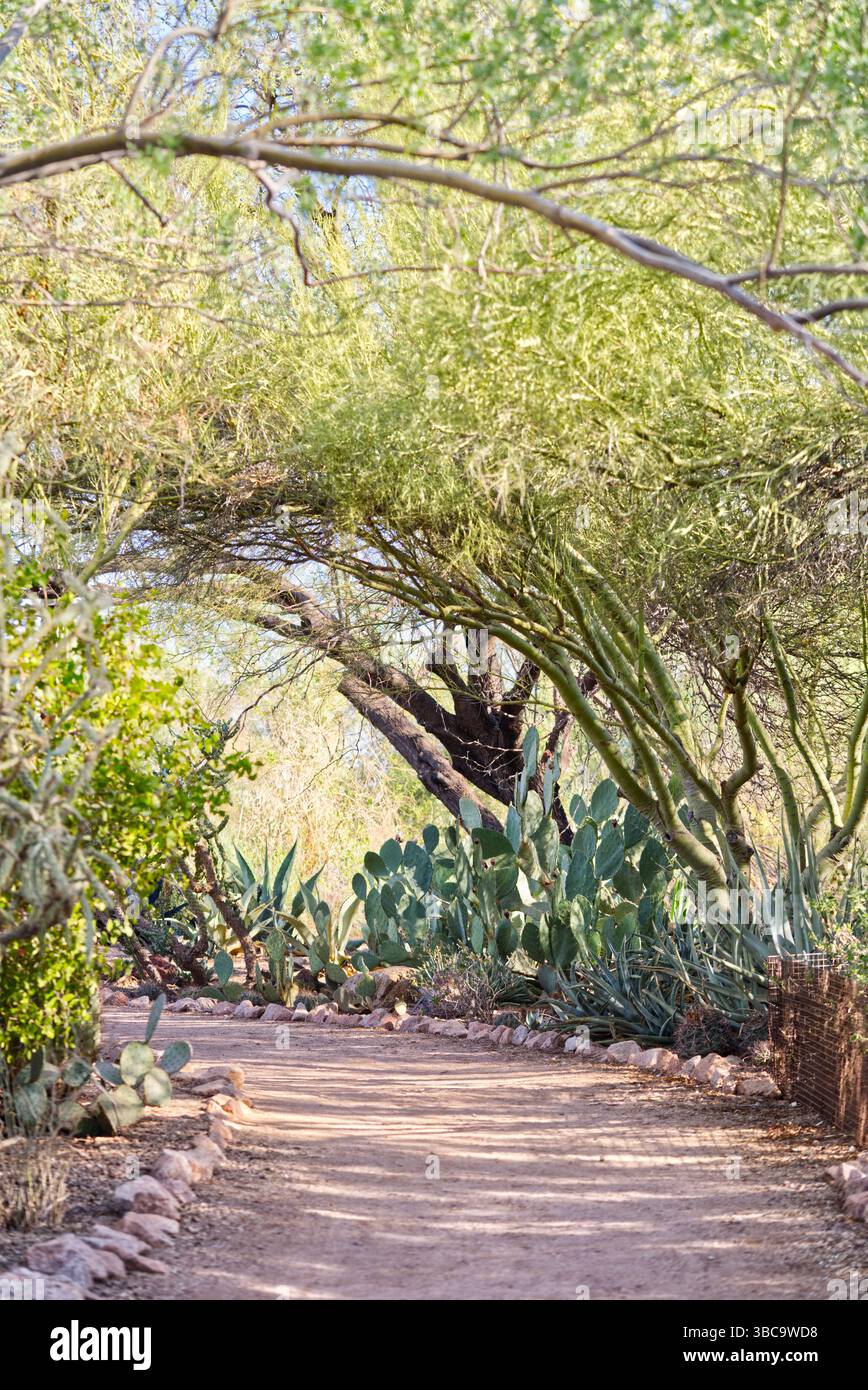Arched Greenery Pathway lined with rocks and cactus Stock Photo - Alamy
