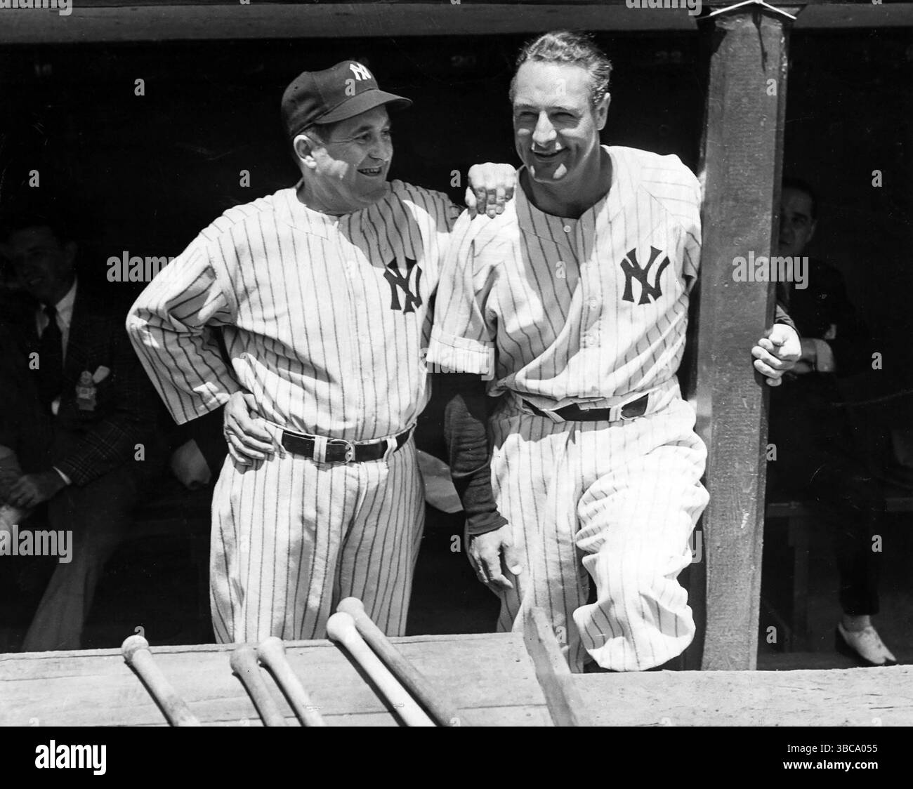 Joe mccarthy new york hi-res stock photography and images - Alamy