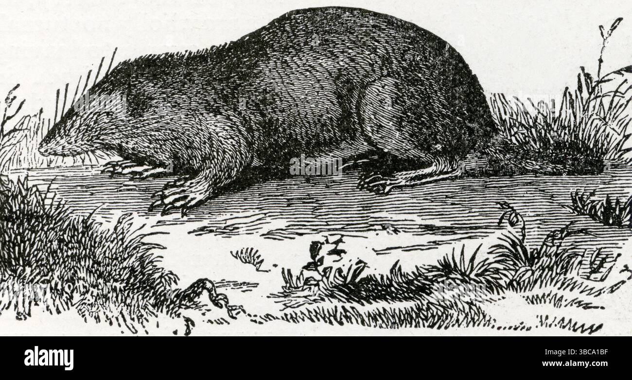 Onservation icon hi-res stock photography and images - Alamy