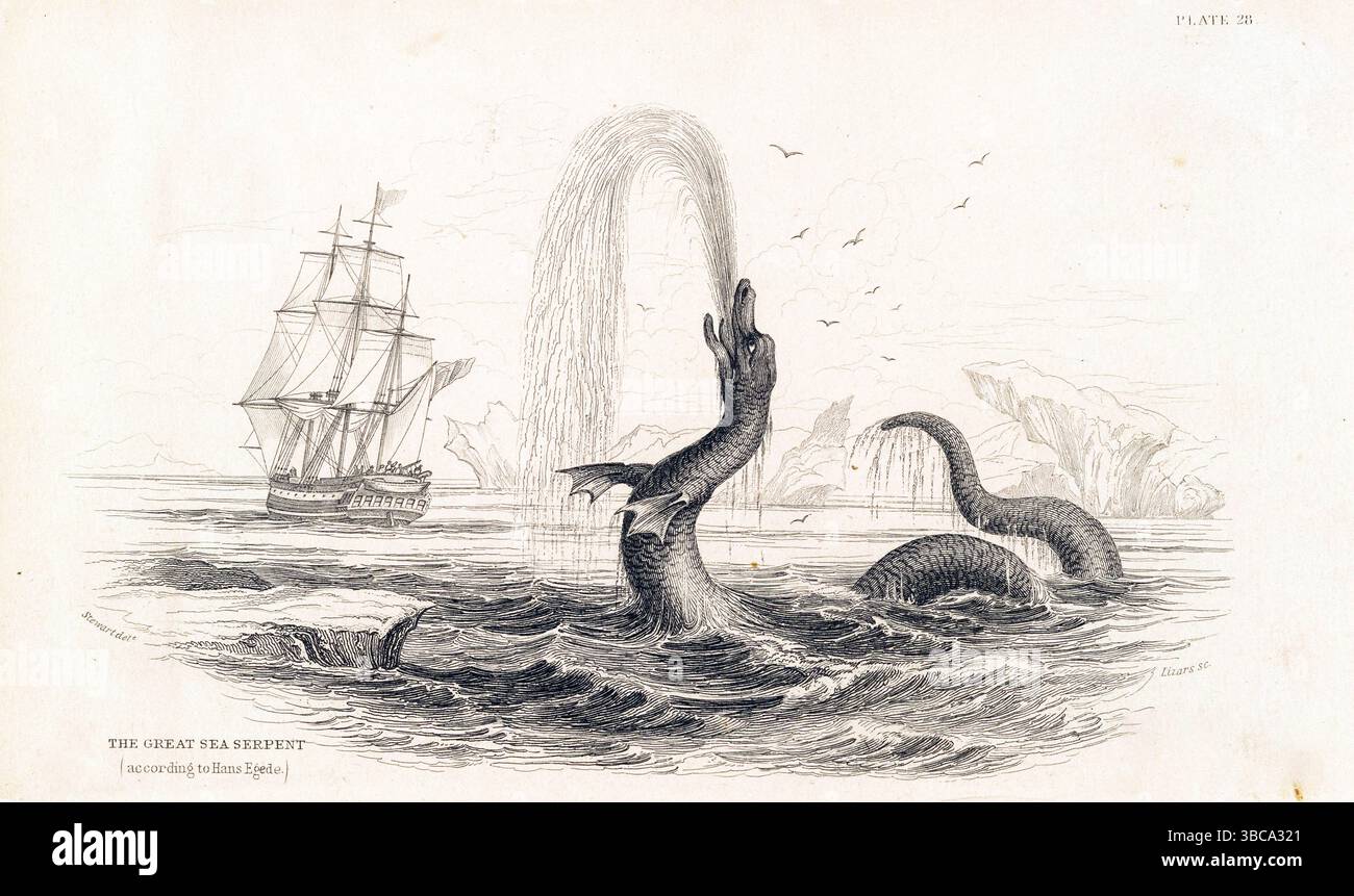 Victorian illustration of The Great Sea Serpent by William Lizars Stock ...