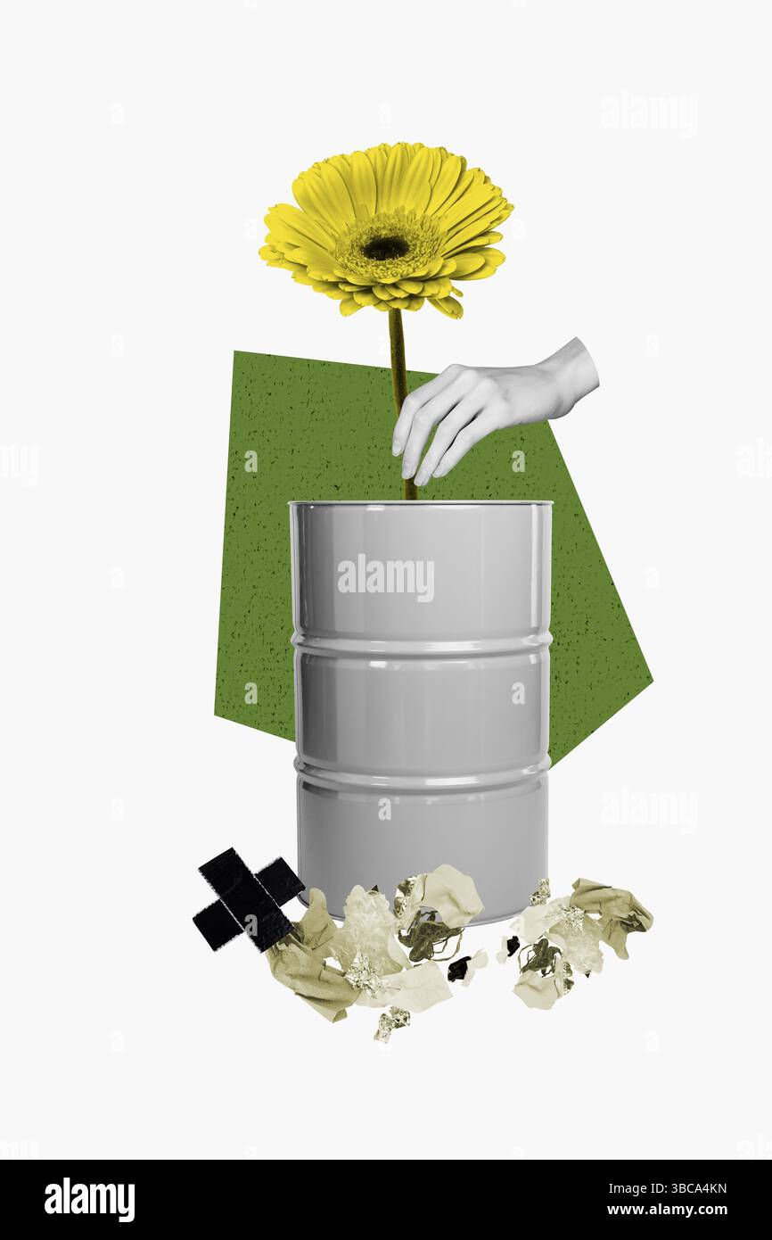 Trend artwork composite banner photo collage of hand hold gerbera flower plant bouquet nature ...