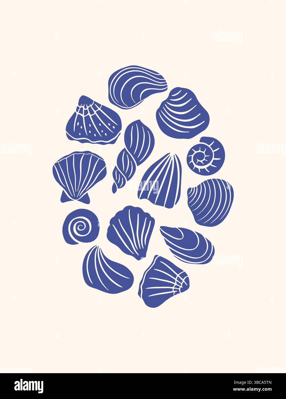 Hand drawn sea shell poster Stock Vector Image & Art - Alamy