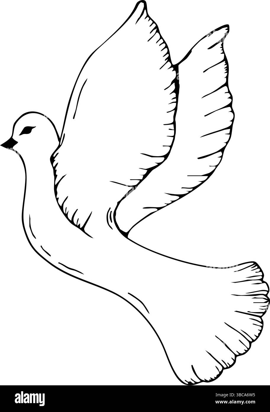 Elegant dove symbolizing first communion suitable for cards and posters ...