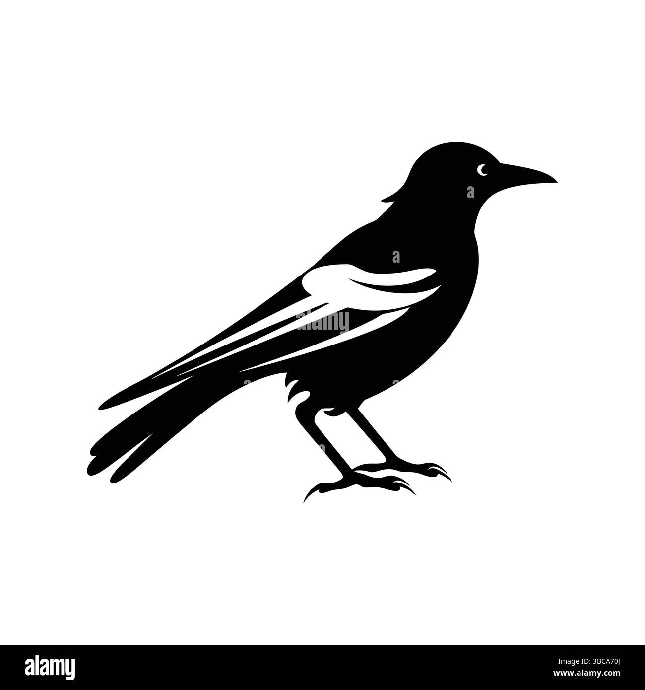 Magpie bird black silhouette of simple minimal vector Stock Vector ...