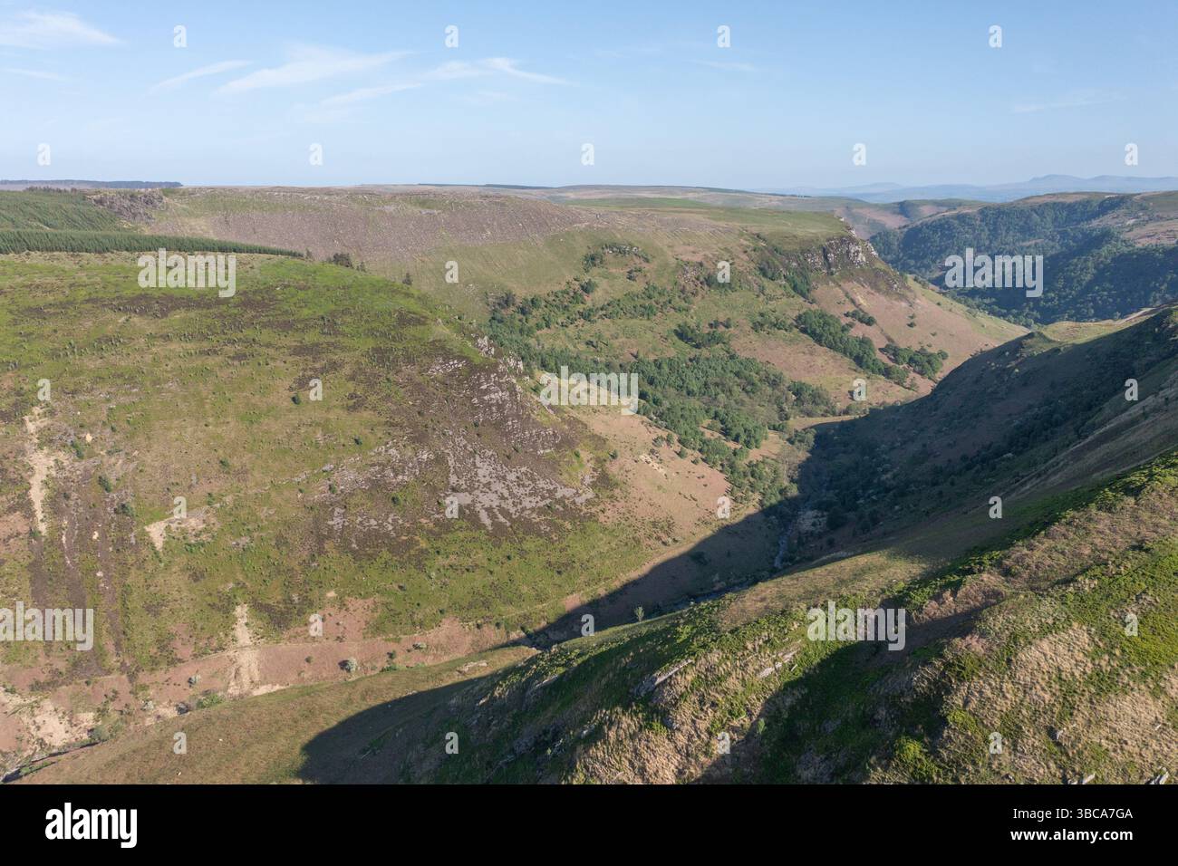 Aerial view of clearfell forestry and steep bracken covered slopes to ...