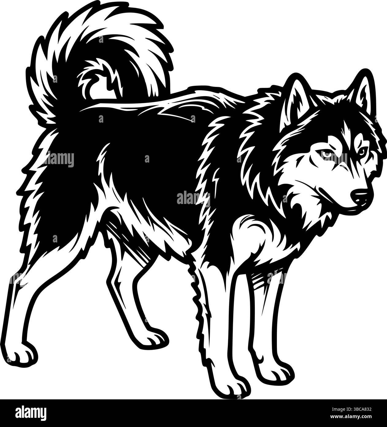Vector silhouette husky dog Stock Vector Image & Art - Alamy