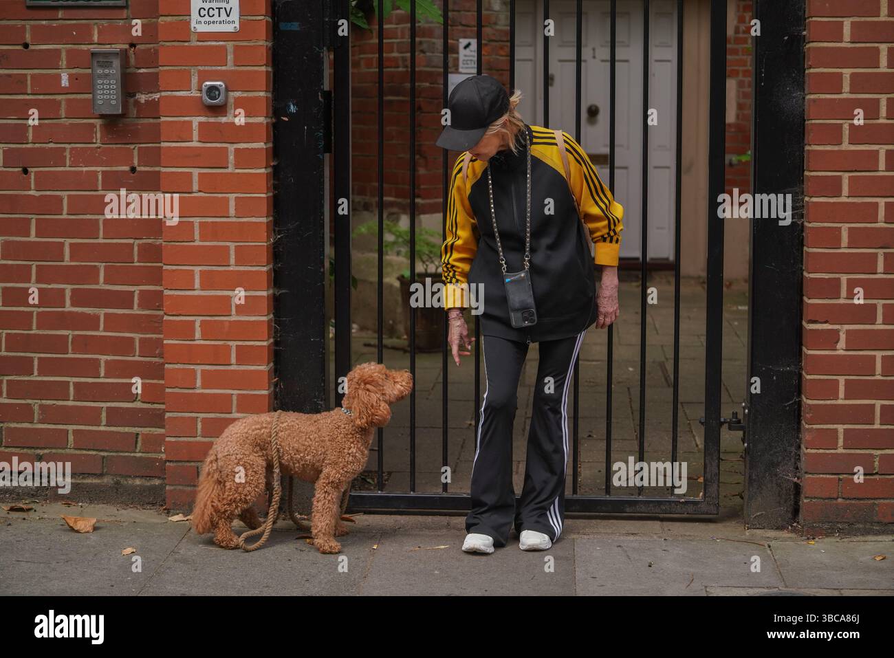 London, UK. 19 May 2025. Singer and songwriter Lulu poses with her dog ...
