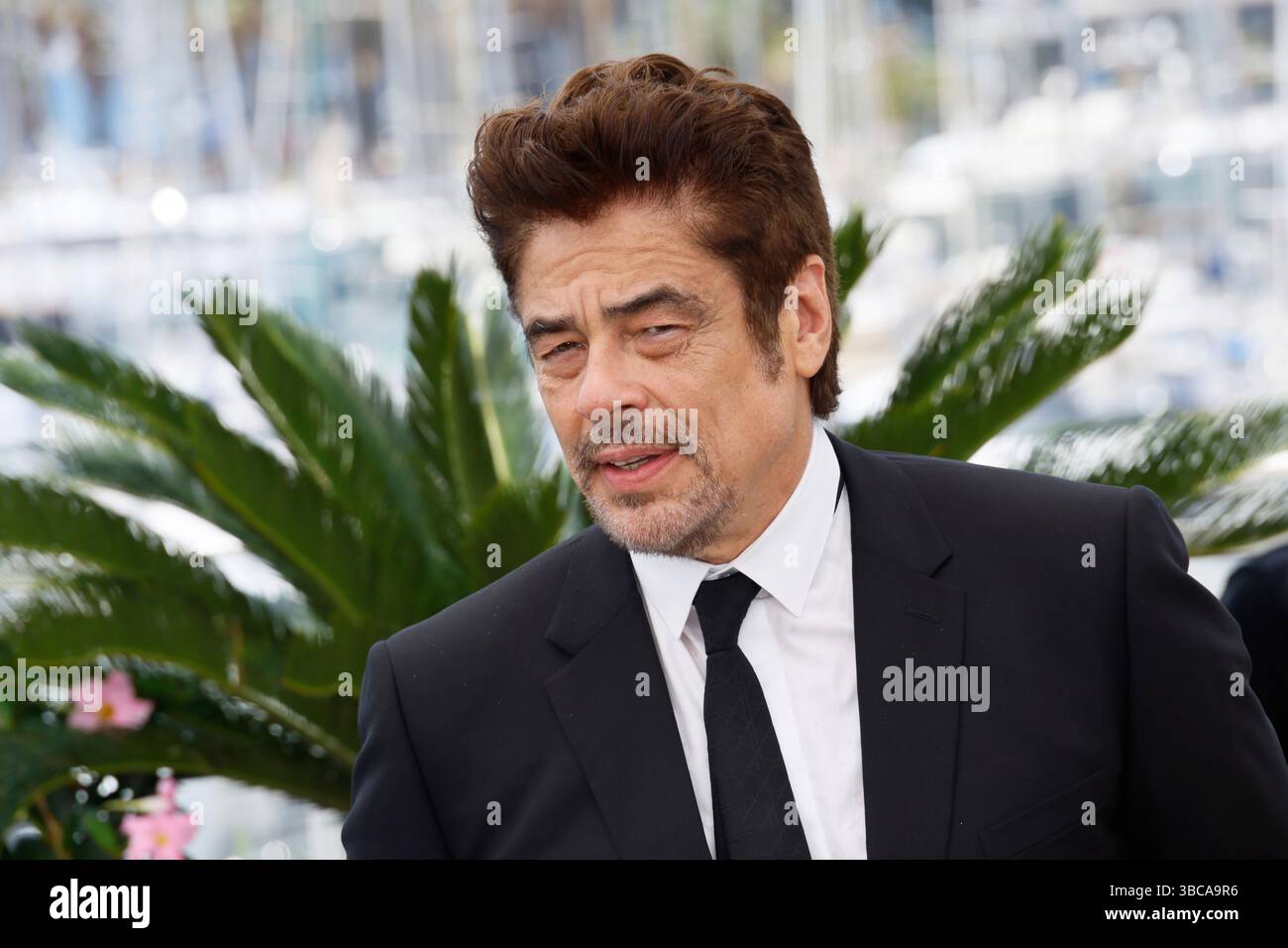 Benicio del Toro poses for photographers at the photo call for the film ...