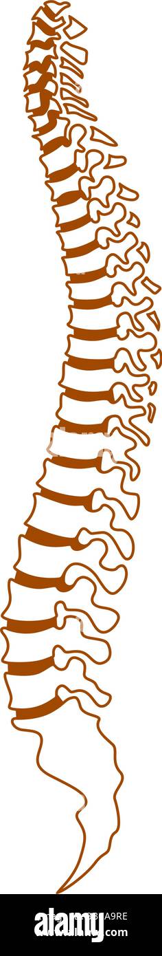 Backbones icon logo design illustration Stock Vector Image & Art - Alamy