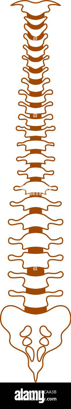 Backbones icon logo design illustration Stock Vector Image & Art - Alamy