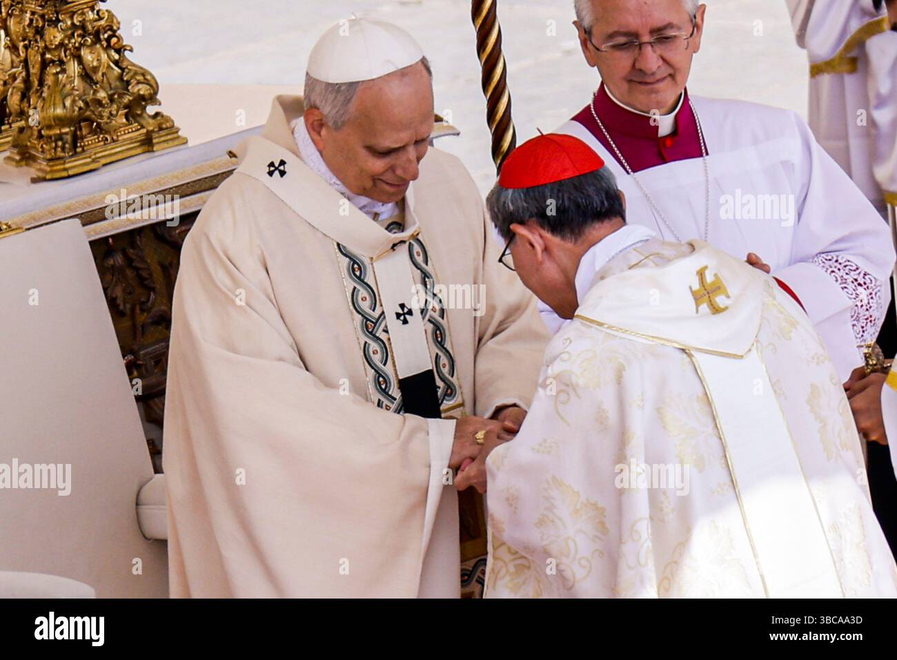 Filipino cardinal Luis Antonio Gokim Tagle putting the Fisherman's Ring ...