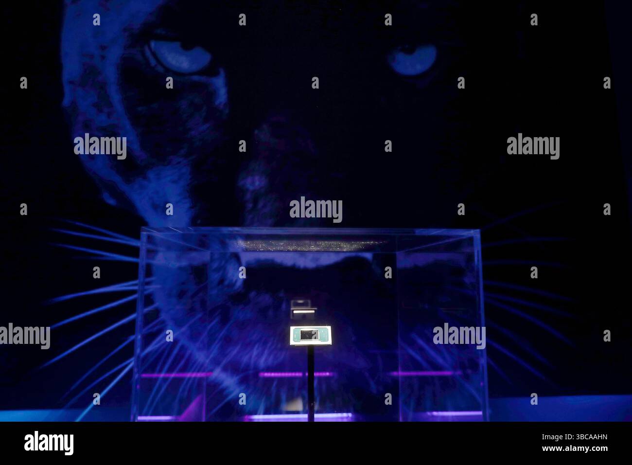 This photo shows Intel''s next-gen Panther Lake CPU silicon and ...