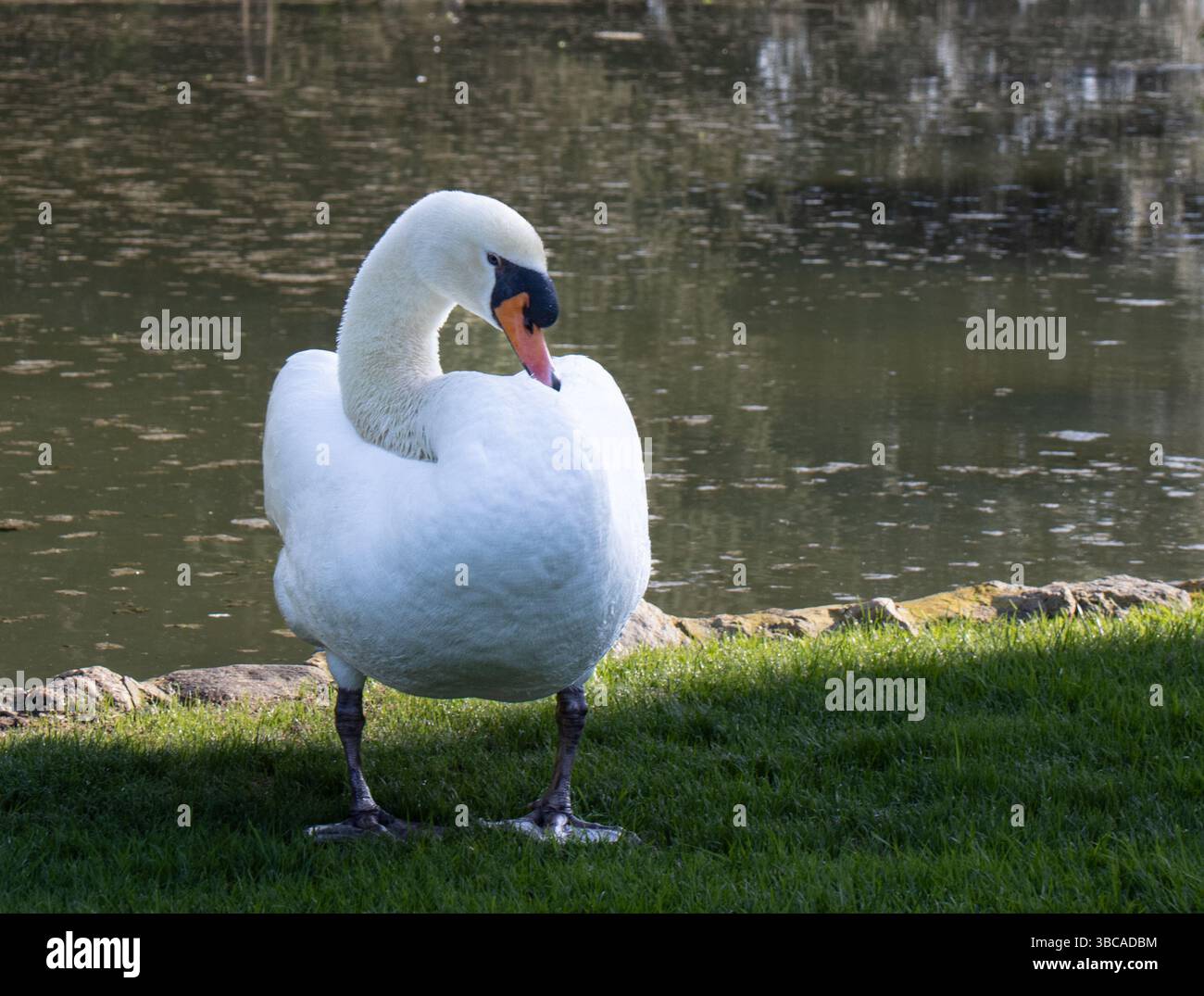 Celler peralada hi-res stock photography and images - Alamy