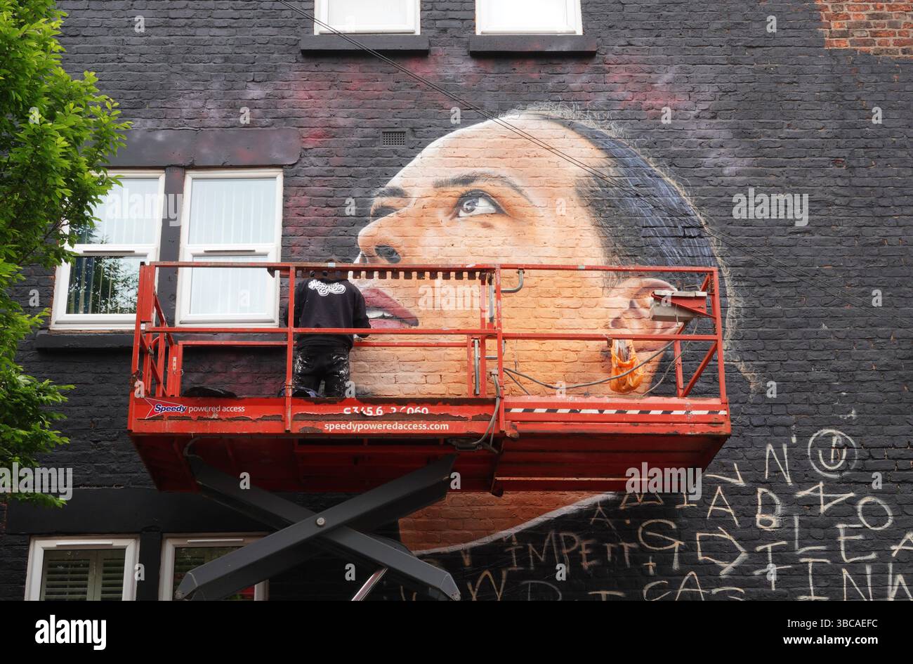 Liverpool, UK. 19th May, 2025. A new mural by Murwalls the artist ...
