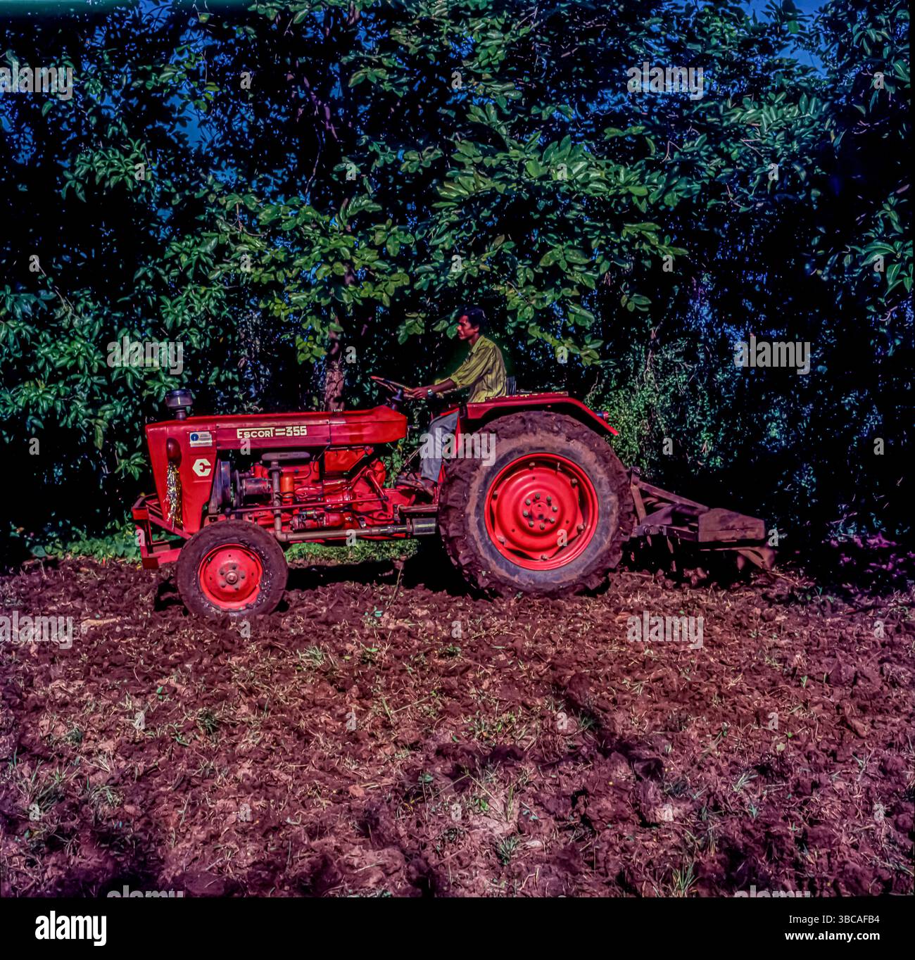 Farmer on Tractor Ploughing the Field in Gujrat Farm, India Stock Photo ...
