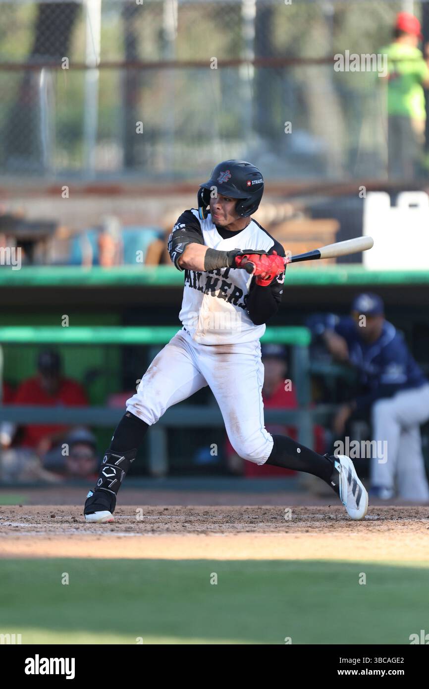 Jorge Ruiz (3) of the Malmo Oat Milkers bats against the Stockton Ports ...