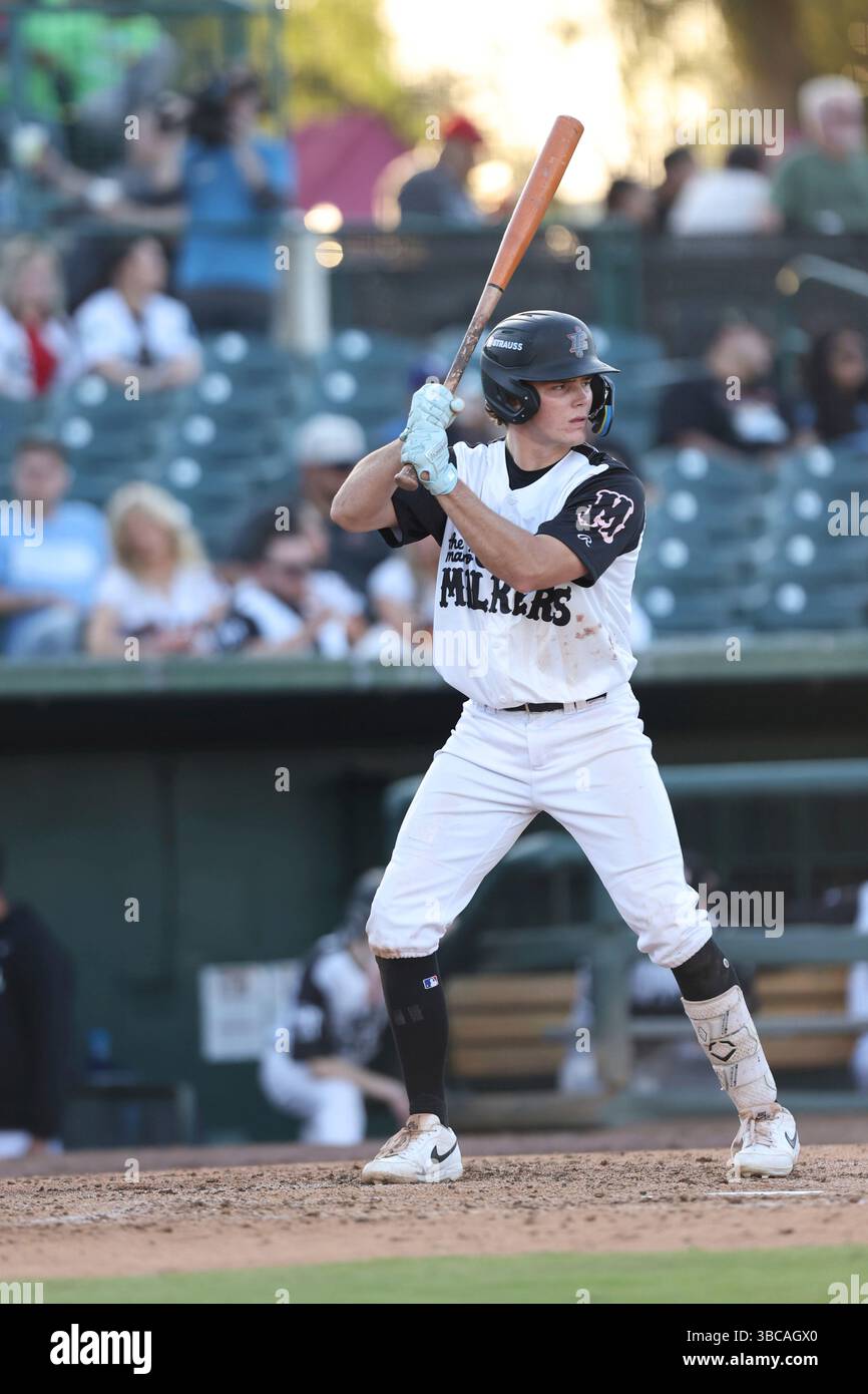 John Wimmer (5) of the Malmo Oat Milkers bats against the Stockton ...