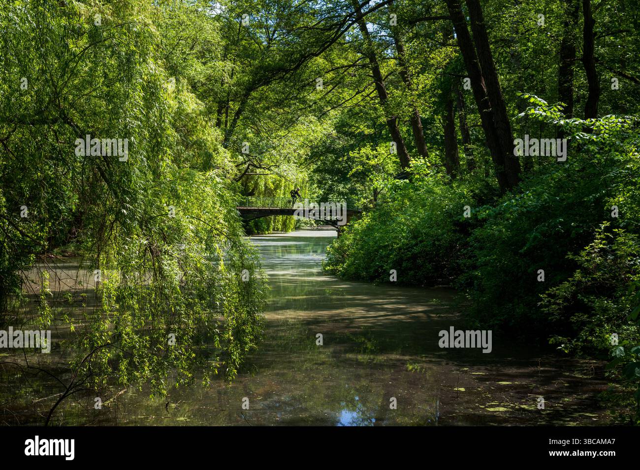 Tiergarten Park in Berlin. Germany tree-lined paths, sunbathing lawns ...