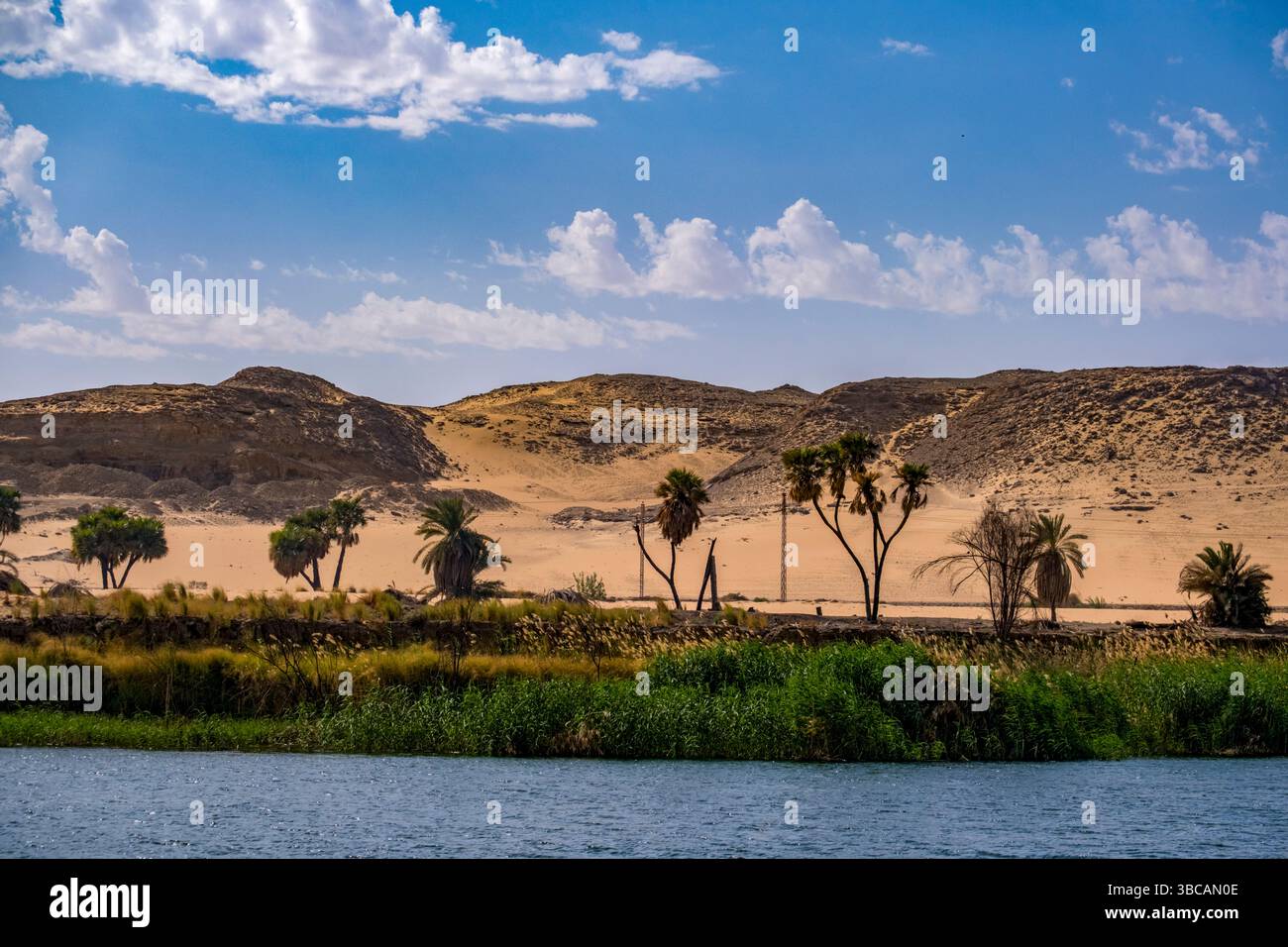 Where the desert sand meets river water: the Nile forms a green strip ...