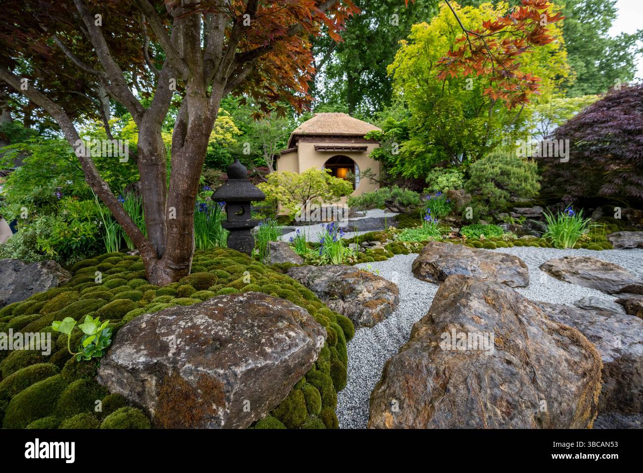 London, UK. 19 May 2025. A general view of Cha No Niwa – Japanese Tea ...