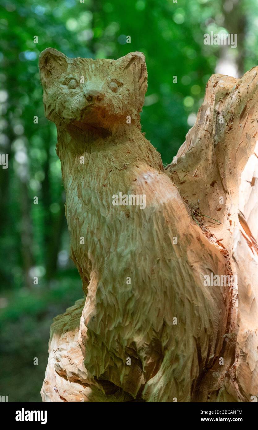 The sculpture that you can smell. Pine Martens by Simon O'Rourke and ...