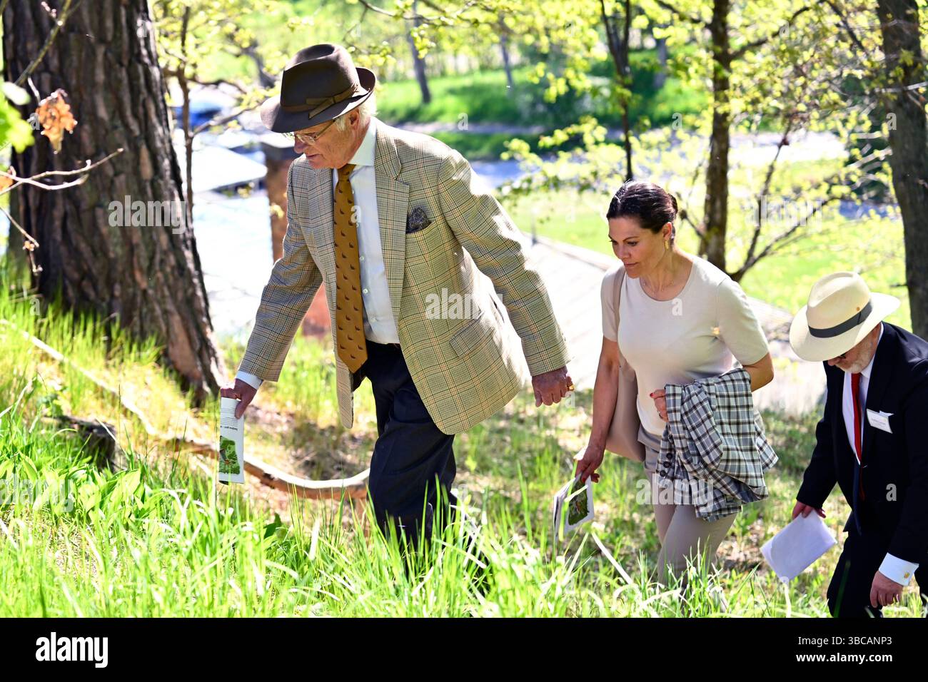 King Carl Gustaf of Sweden attend the World Wildlife Fund WWF excursion ...