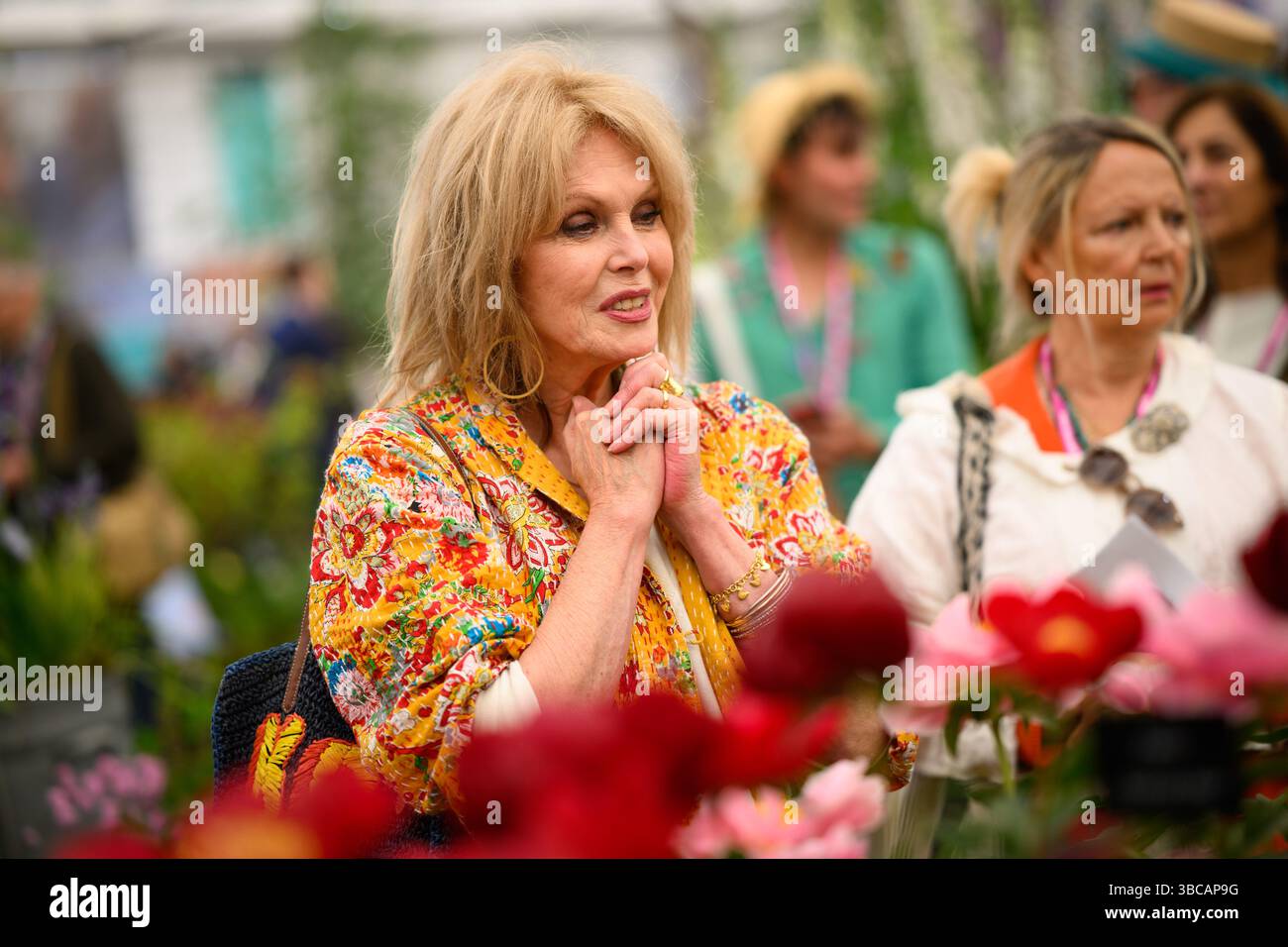 London, UK. 19 May 2025. Joanna Lumley pictured at the RHS Chelsea ...