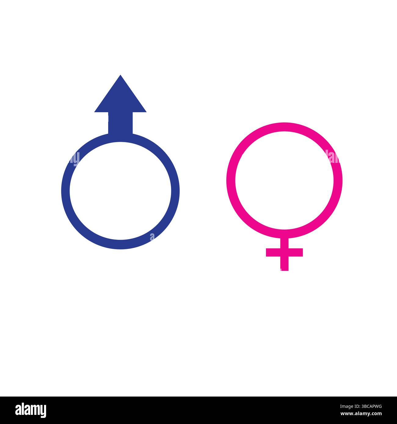 Male and Female Gender Symbols Icon Vector Sign Representation Stock ...