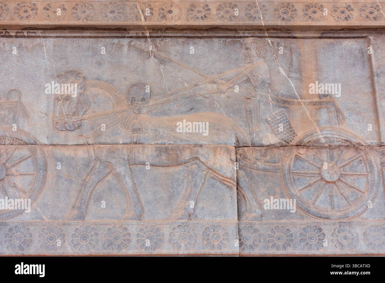 Bas-relief sculpture of Persian warrior on a chariot at Persepolis ...