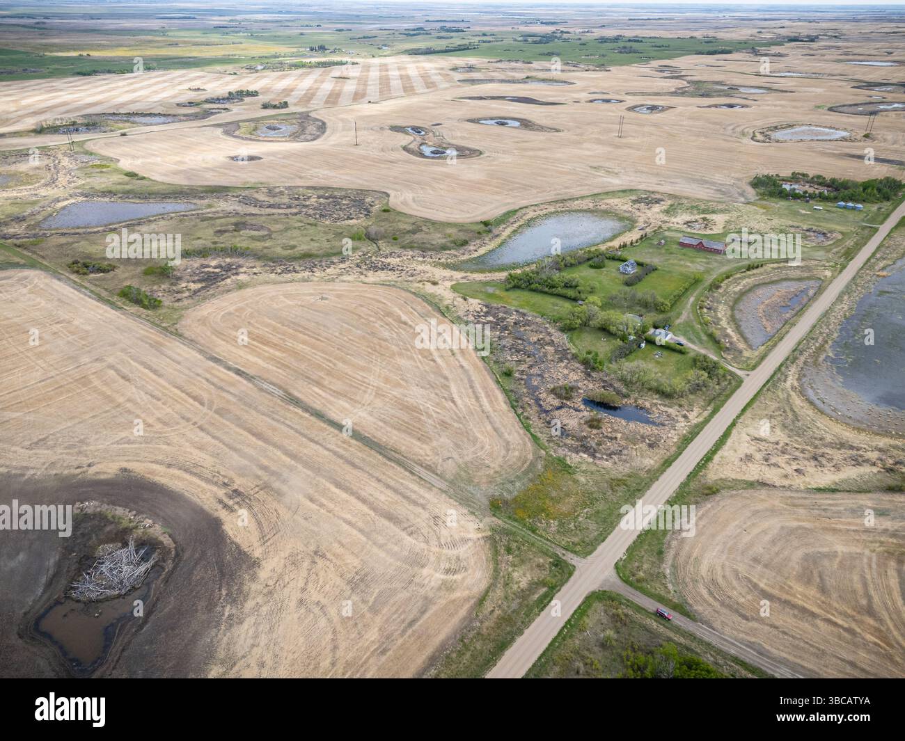 Large field with a road running through it. The road is lined with ...