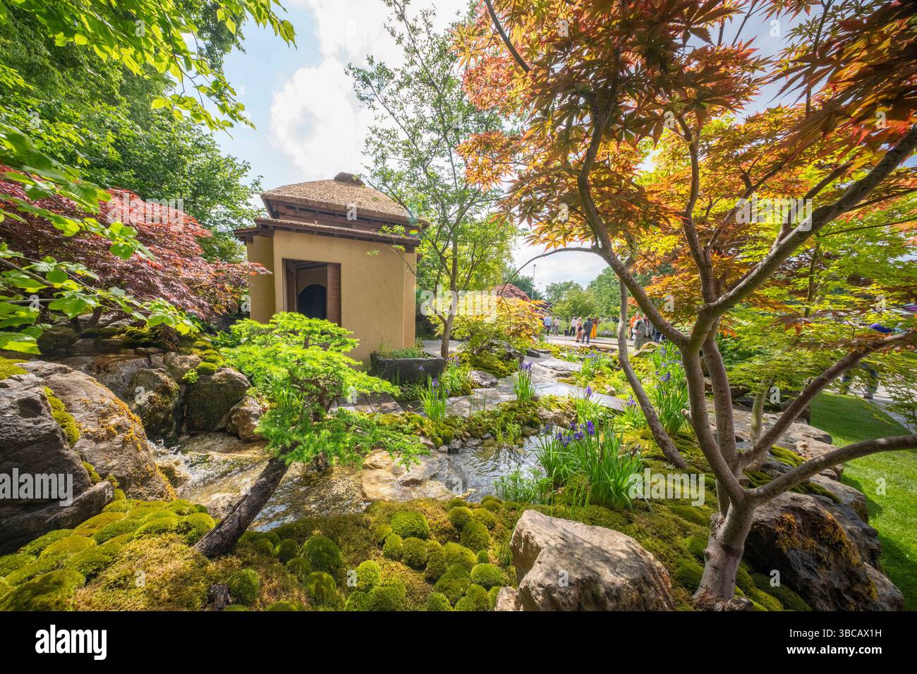 Royal Hospital Chelsea, London, UK. 19th May, 2025. RHS Chelsea Flower ...