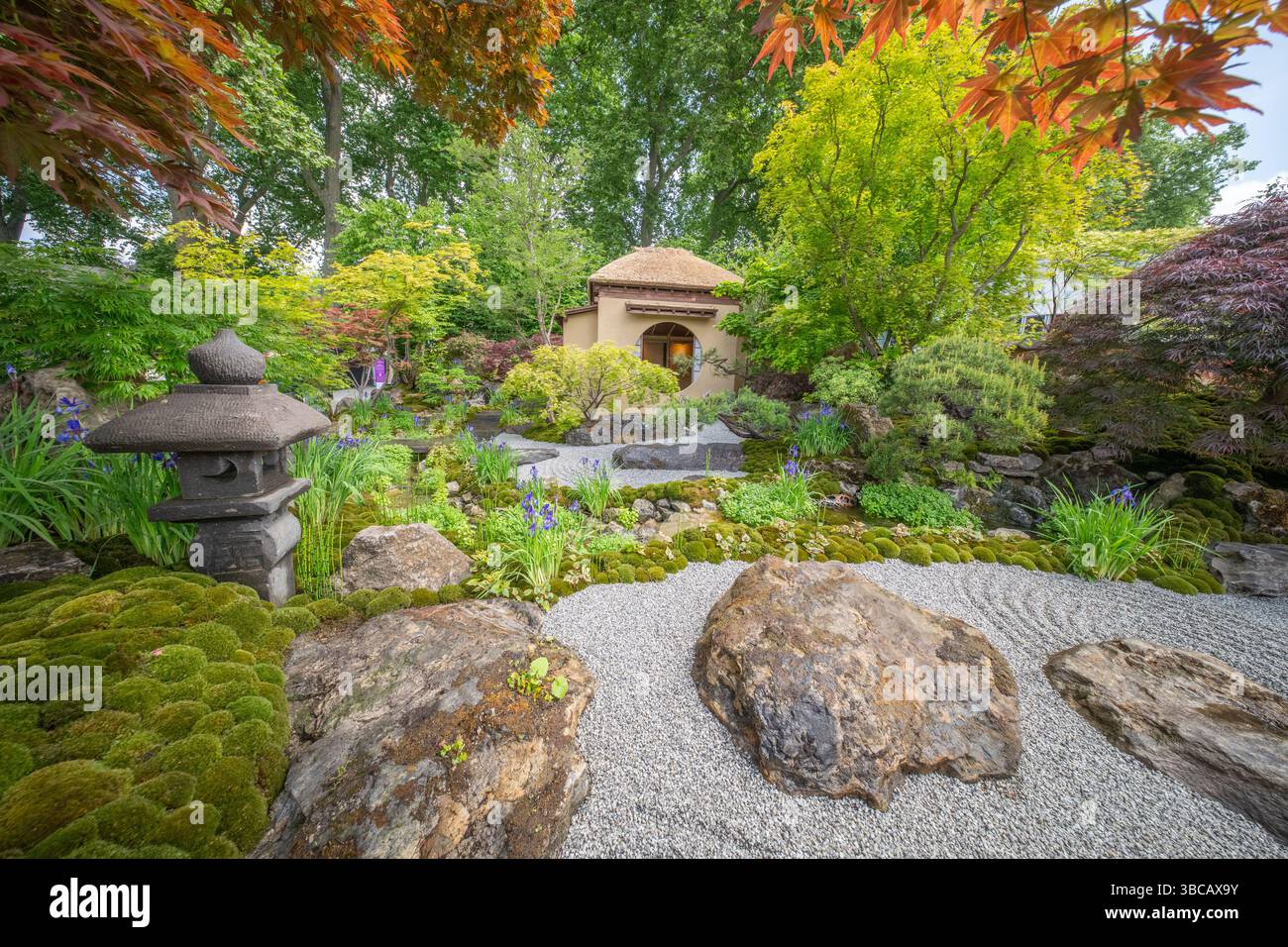 Royal Hospital Chelsea, London, UK. 19th May, 2025. RHS Chelsea Flower ...