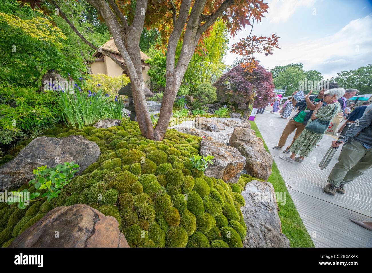 Royal Hospital Chelsea, London, UK. 19th May, 2025. RHS Chelsea Flower ...