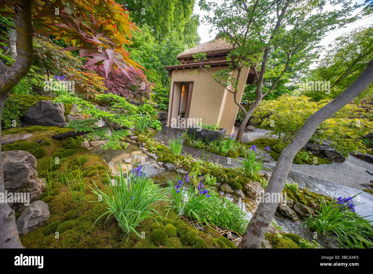 Royal Hospital Chelsea, London, UK. 19th May, 2025. RHS Chelsea Flower ...