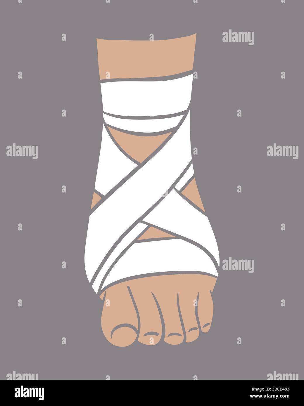 Vector isolated illustration of bandaging a leg. First aid for foot ...