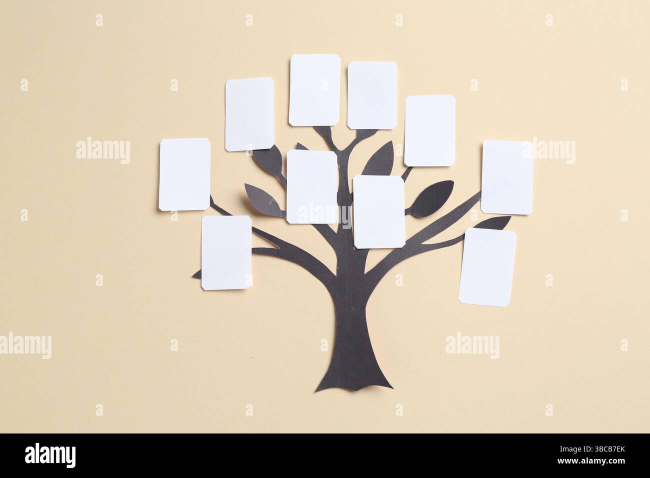 Human family tree chart hi-res stock photography and images - Alamy