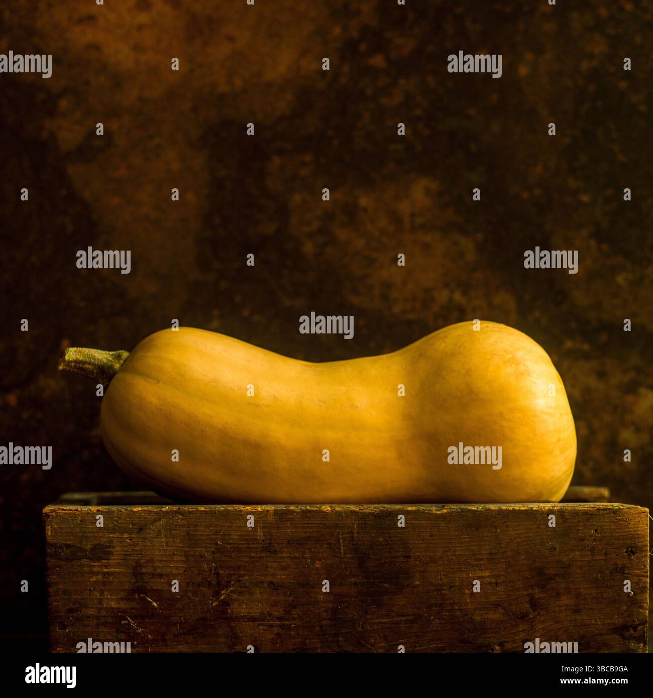 A butternut squash stands upright, showcasing its sleek curves and warm ...