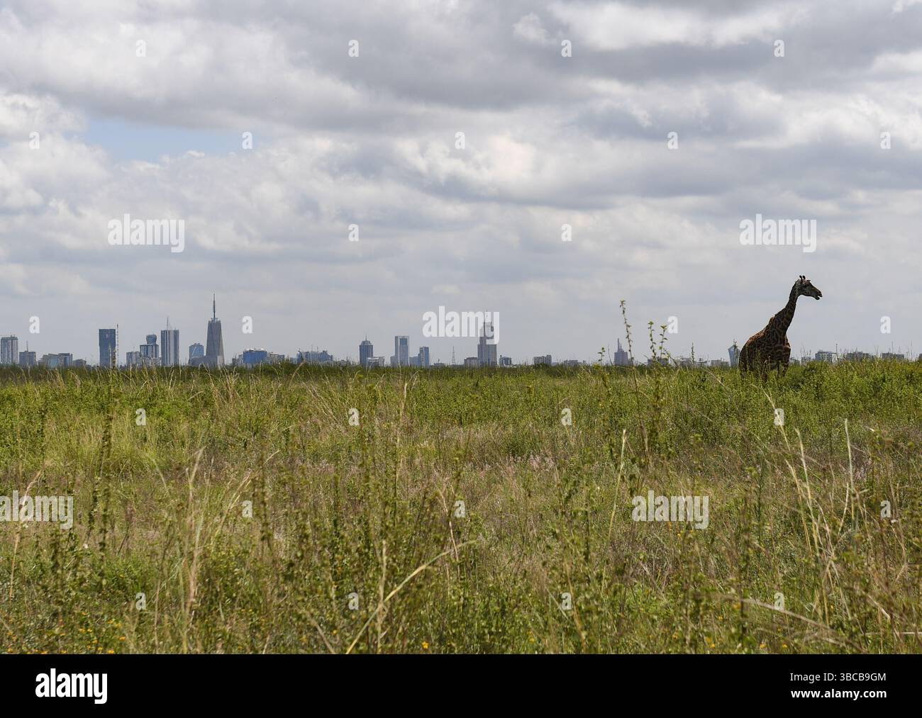 Nairobi. 16th May, 2025. This photo taken on May 16, 2025 shows a view ...