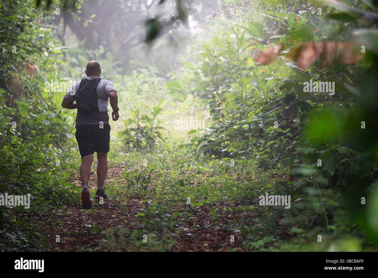 Person runs along narrow, overgrown path in dense forest shrouded in ...