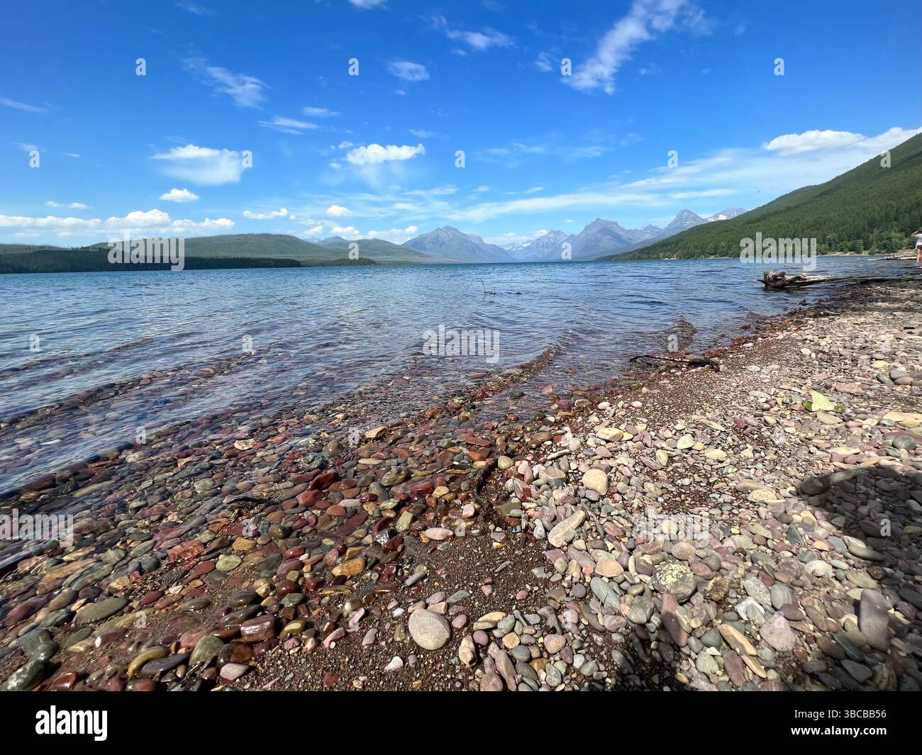 The shoreline of Bowman Lake in Glacier National Park is lined with ...