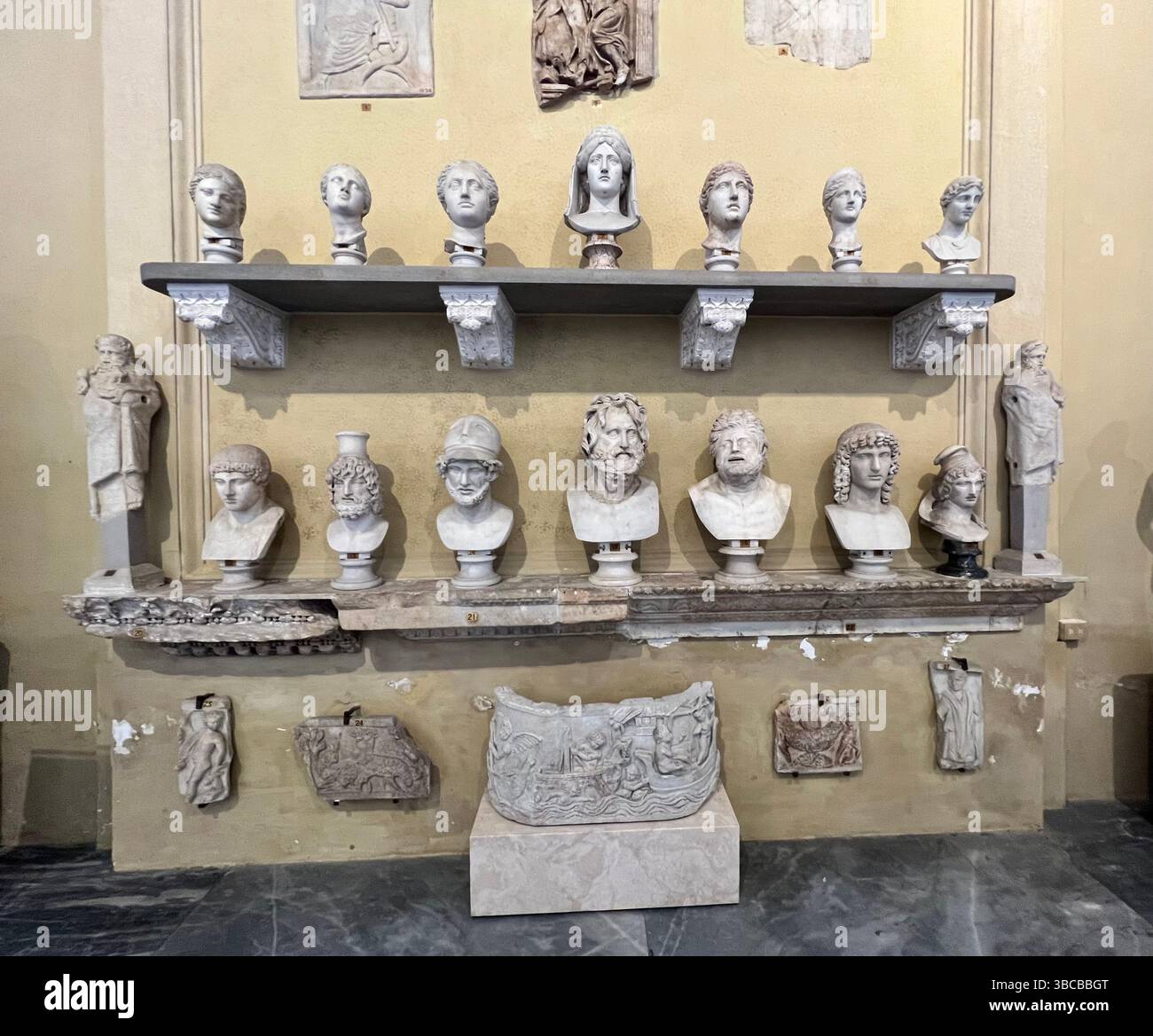 A curated wall of ancient Roman marble busts and reliefs showcases the ...