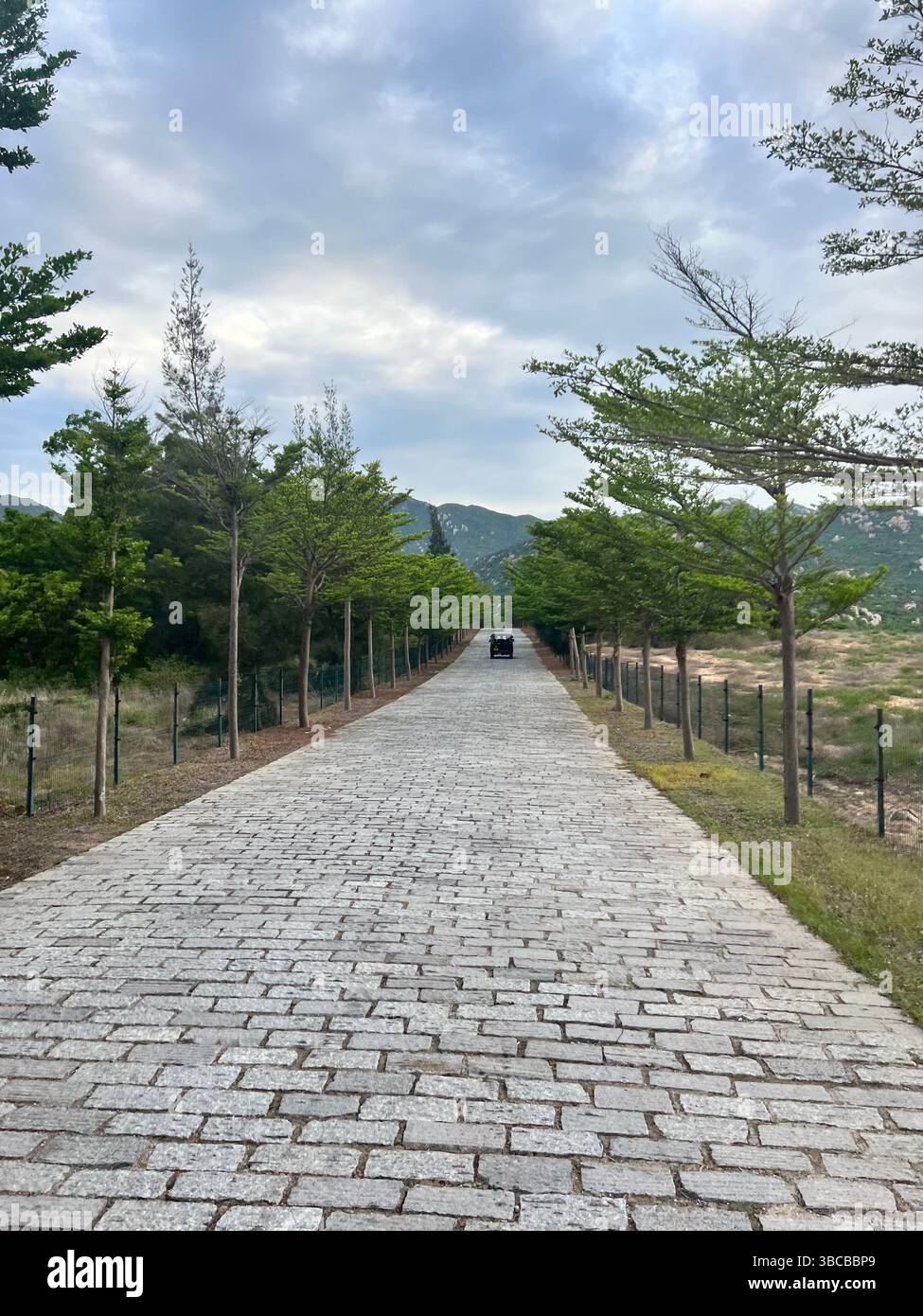 Tranquil minimalist landscape rows hi-res stock photography and images ...