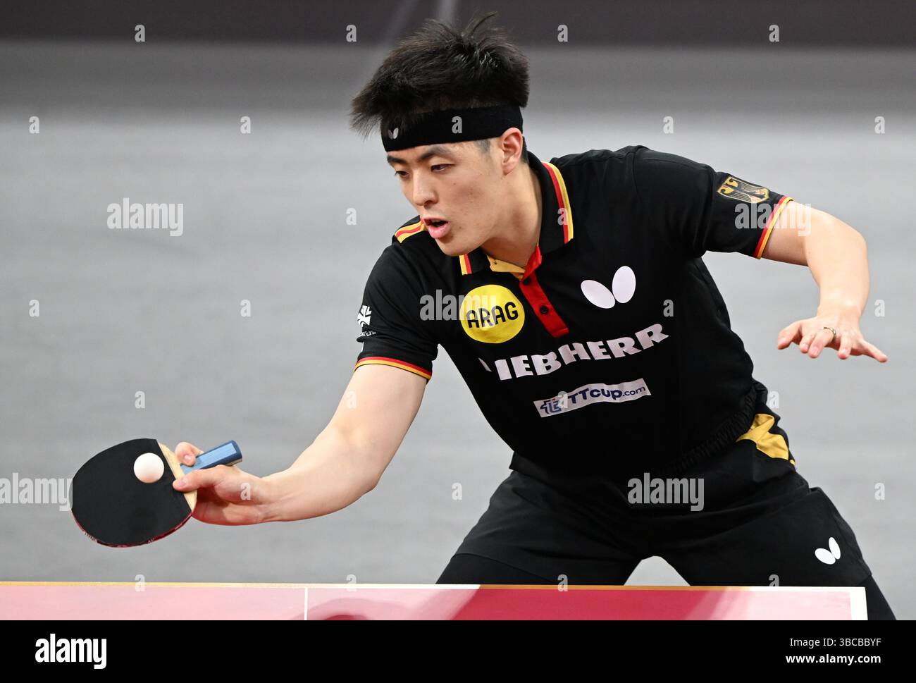 Doha, Qatar. 19th May, 2025. Qiu Dang of Germany hits a return to Tom ...