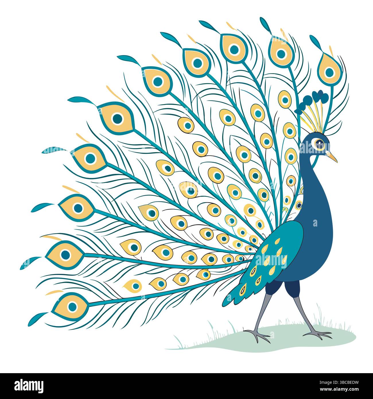 colorful Peacock Cartoon Animal Nature Icon Concept design Isolated ...