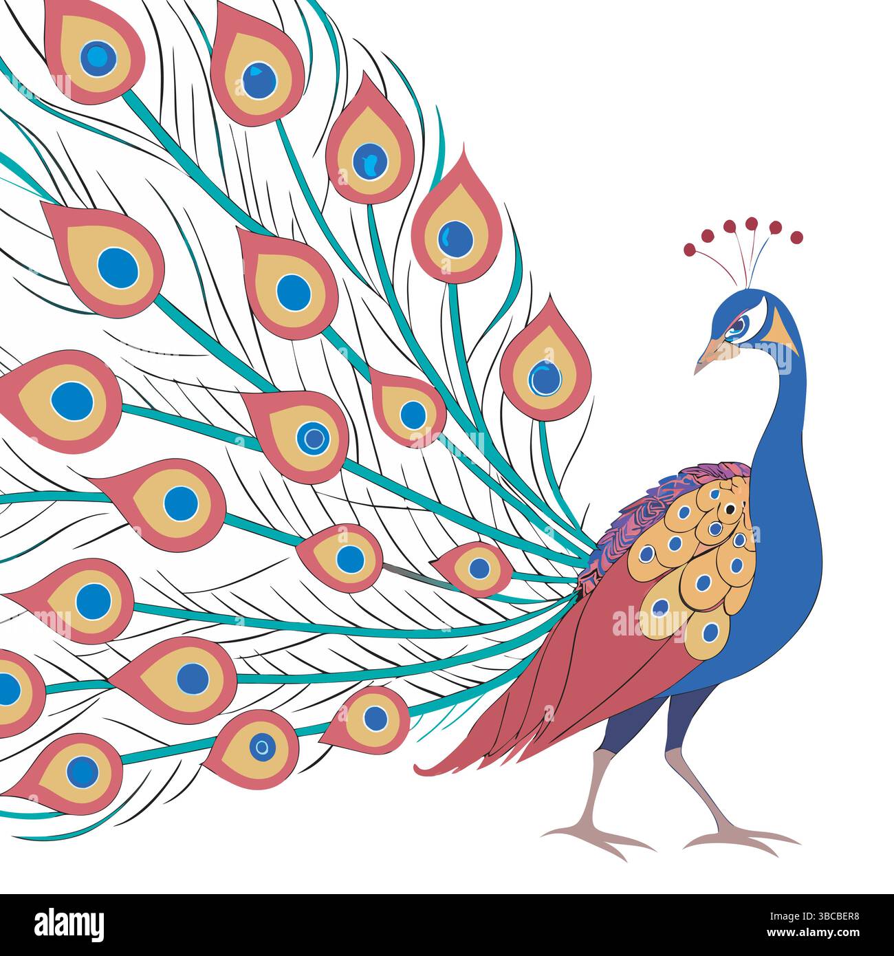 colorful Peacock Cartoon Animal Nature Icon Concept design Isolated ...