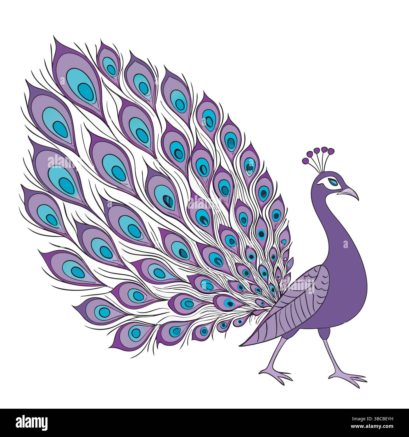 colorful Peacock Cartoon Animal Nature Icon Concept design Isolated ...