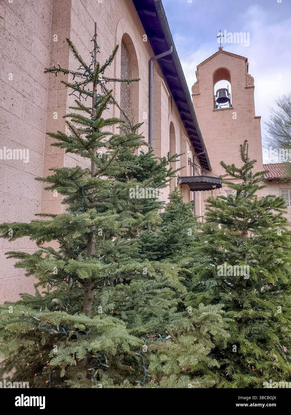 Christmas tree decorations for an outdoor service at Trinity Cathedral ...