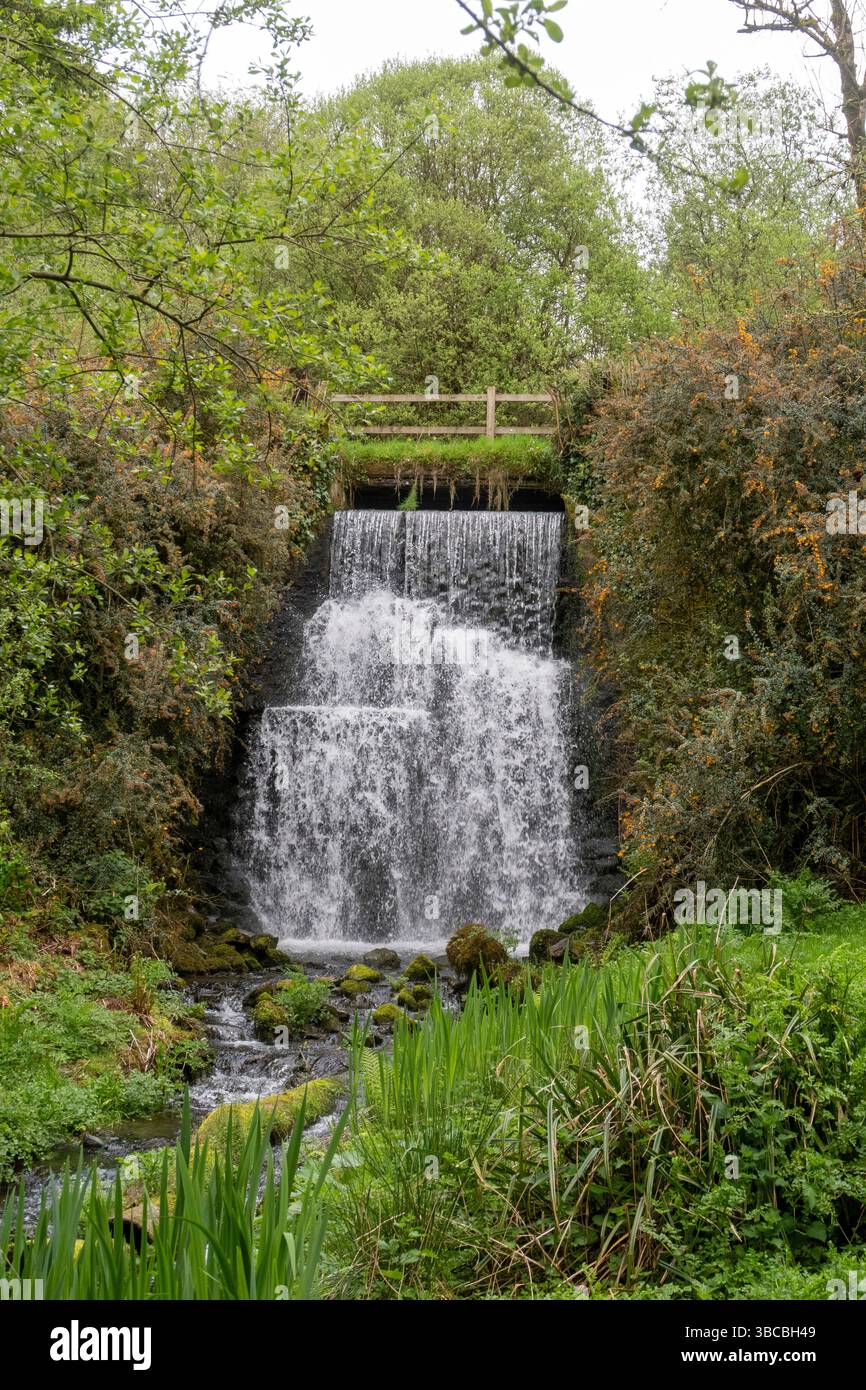 Large waterfall on a stream in the gardens of the Endsleigh Hotel ...